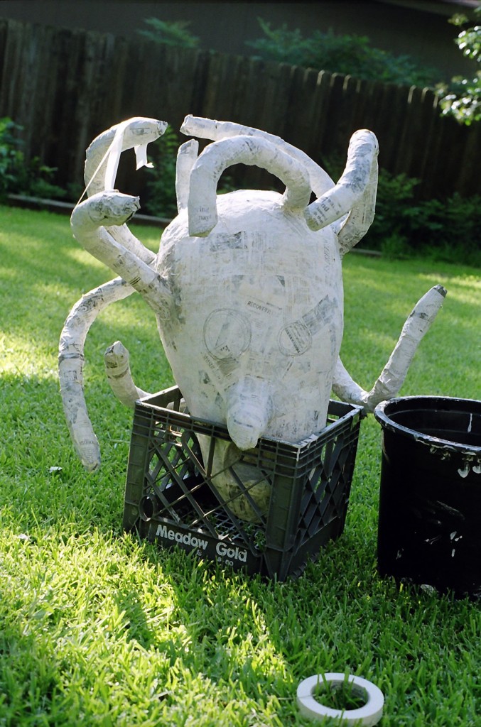 Medusa - Piñata Boy