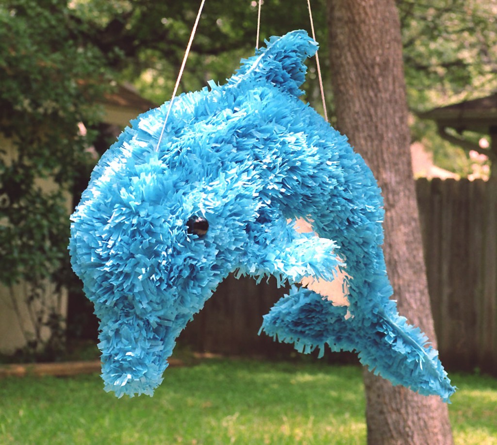 Tropical Fish - Piñata Boy