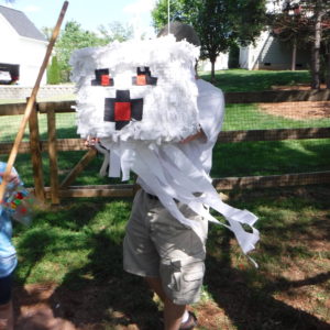 DSCF3121 - Piñata Boy