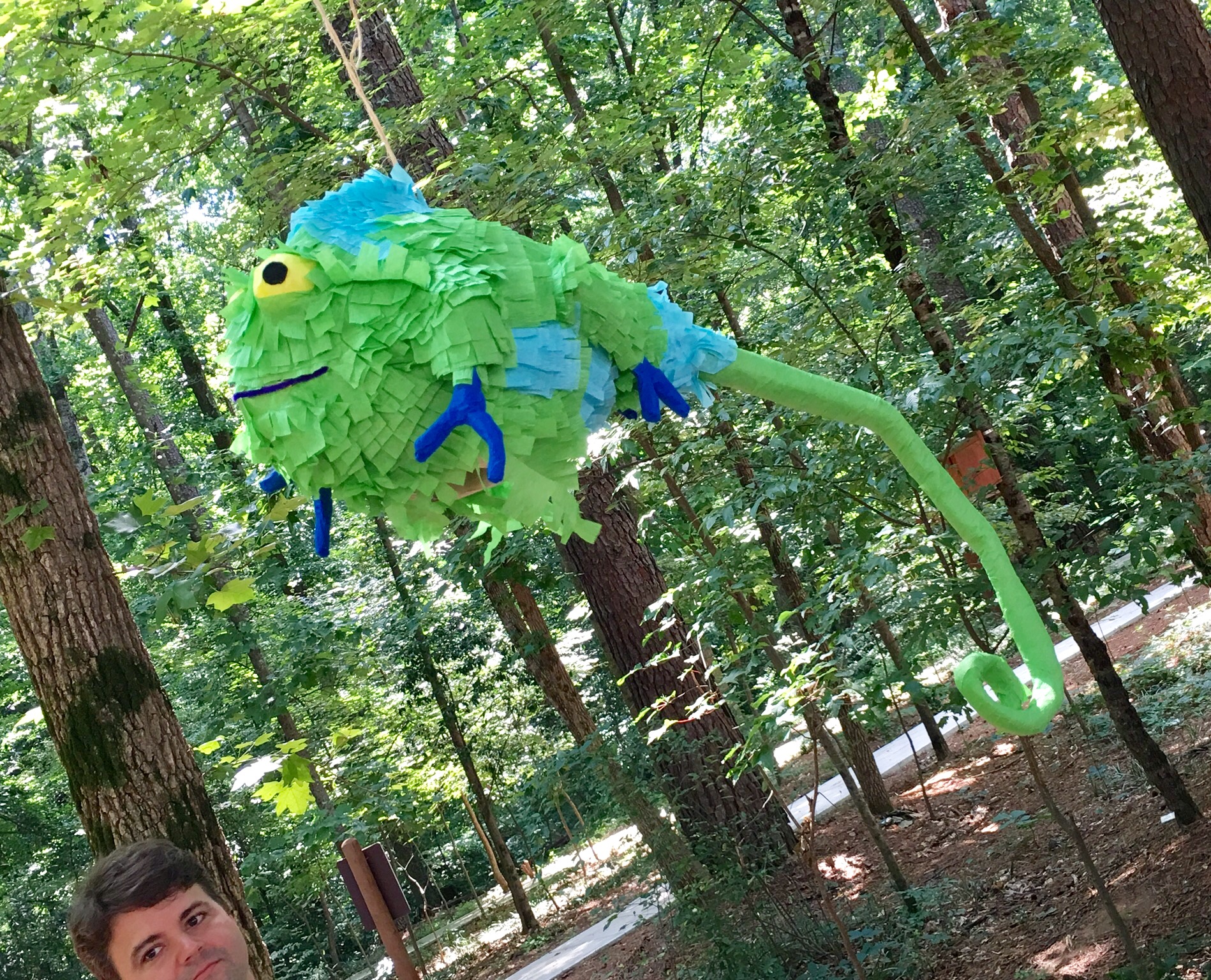 Chameleon - Piñata Boy
